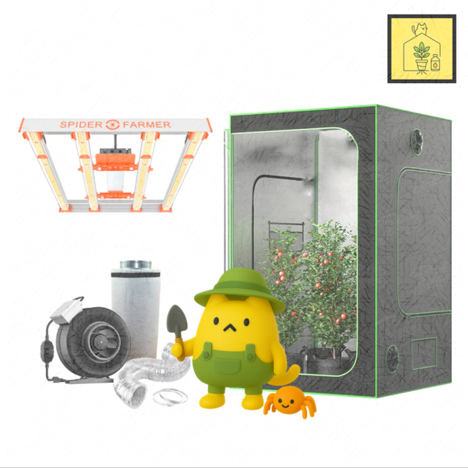 Kit El Gato Grower's Club – El Gato con Mota